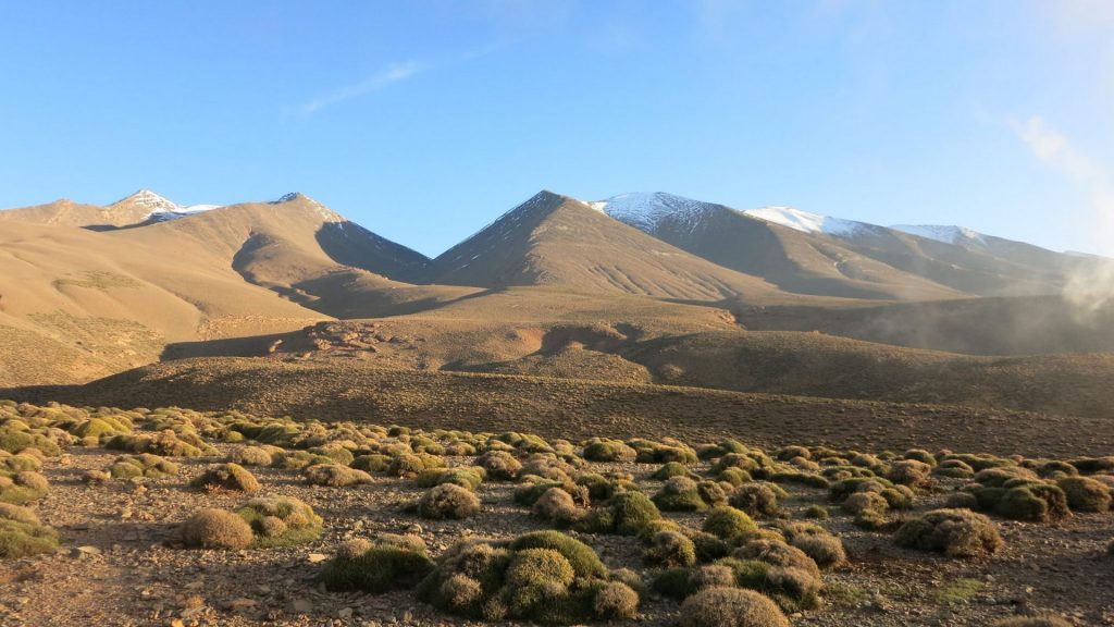 Mount Mgoun summit trek - Hiking in Morocco